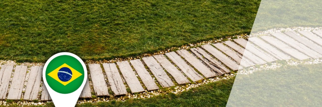 Student Visa Brazil - Application & Requirements - Oliveira Lawyers